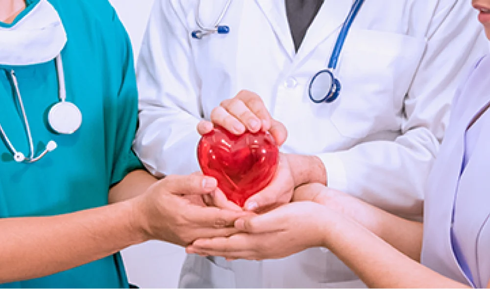 PGD - Australian Concept Karachi